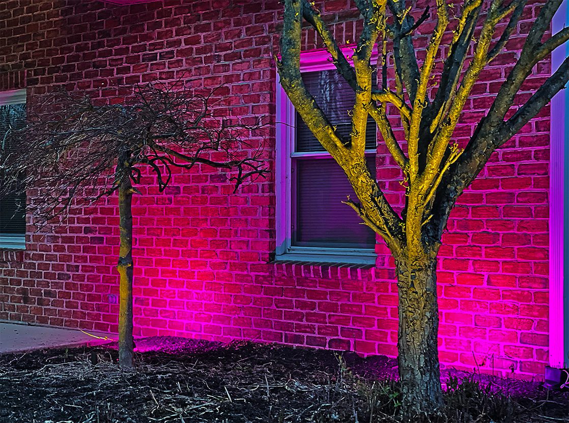 Paint Your Nights with Light: Introducing RGB Color-Changing NiteLites ...